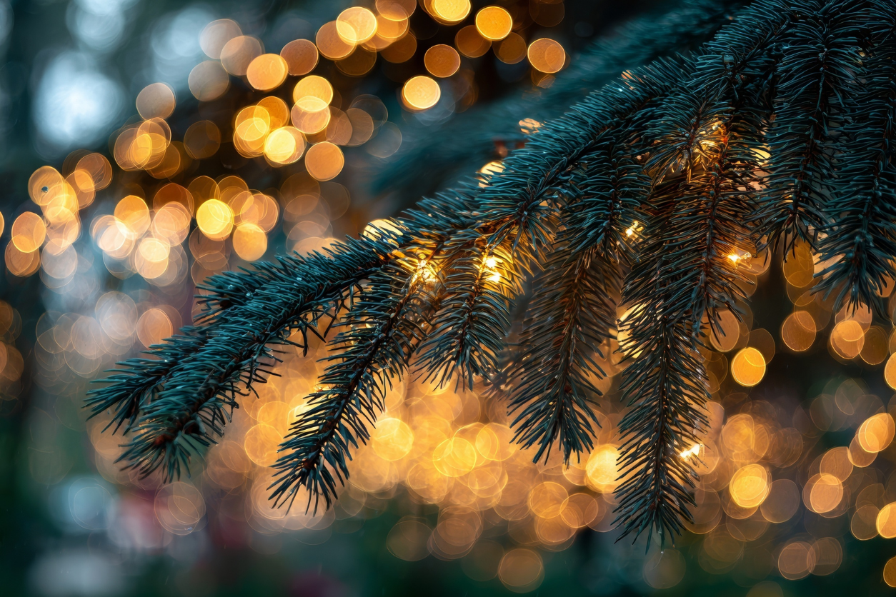 The Twelve Days of Sain! - Sain Associates